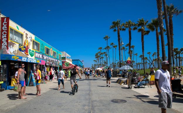 Ultimate Guide to Venice Beach in a Day – The Pink Millennial