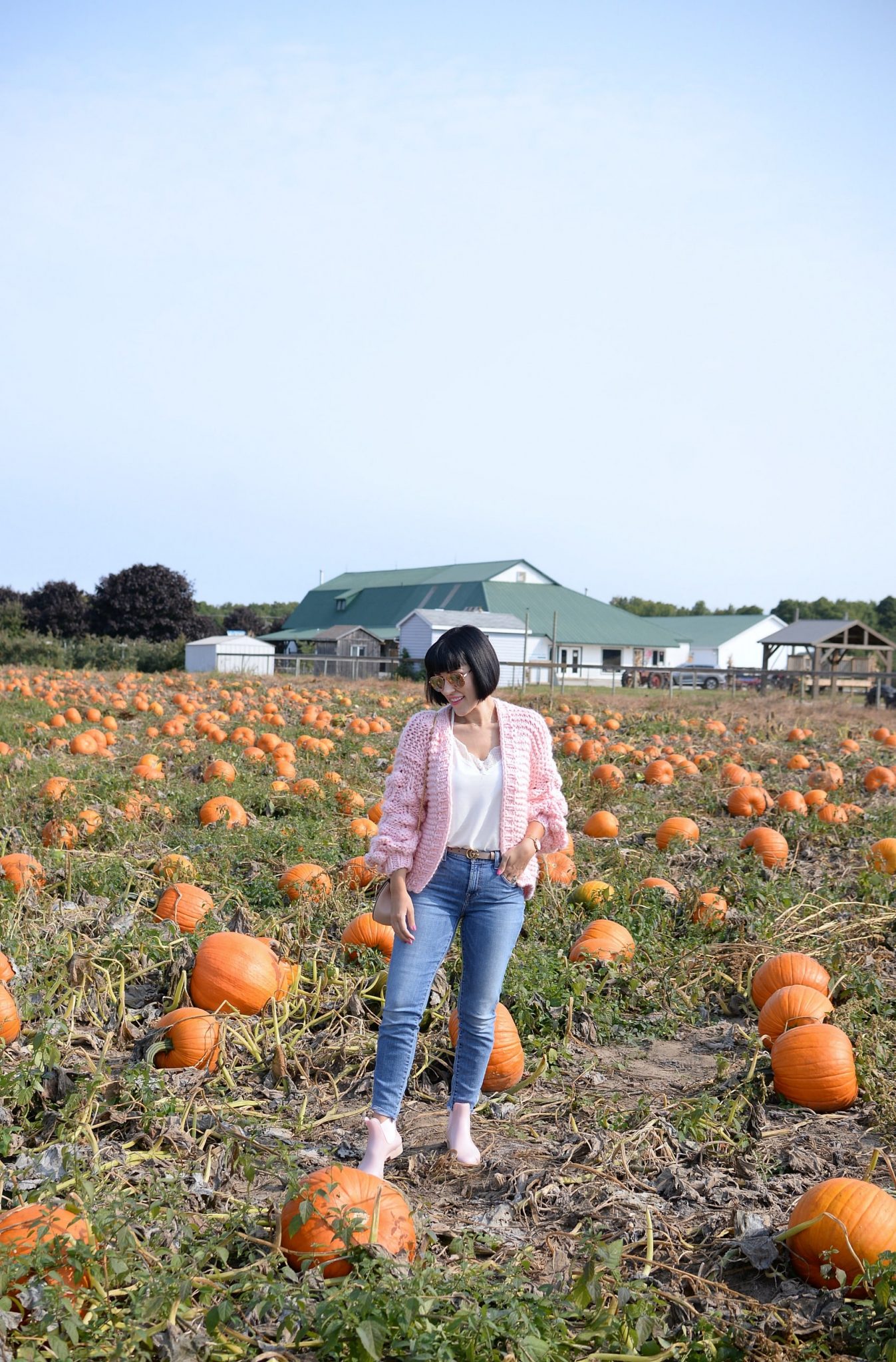 Most Instagrammable Fall Farms around London, Ontario – The Pink Millennial