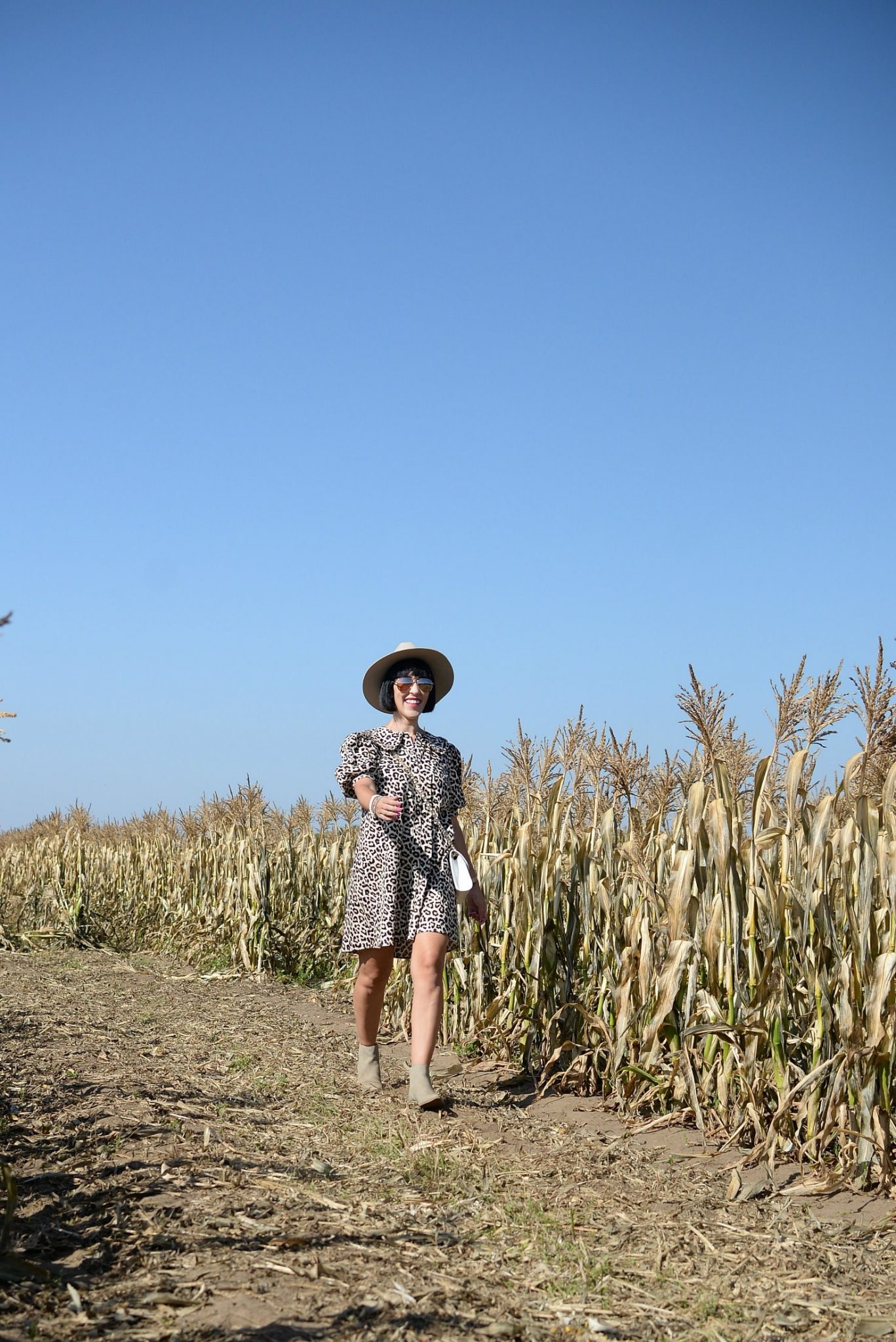 Most Instagrammable Fall Farms around London, Ontario – The Pink Millennial