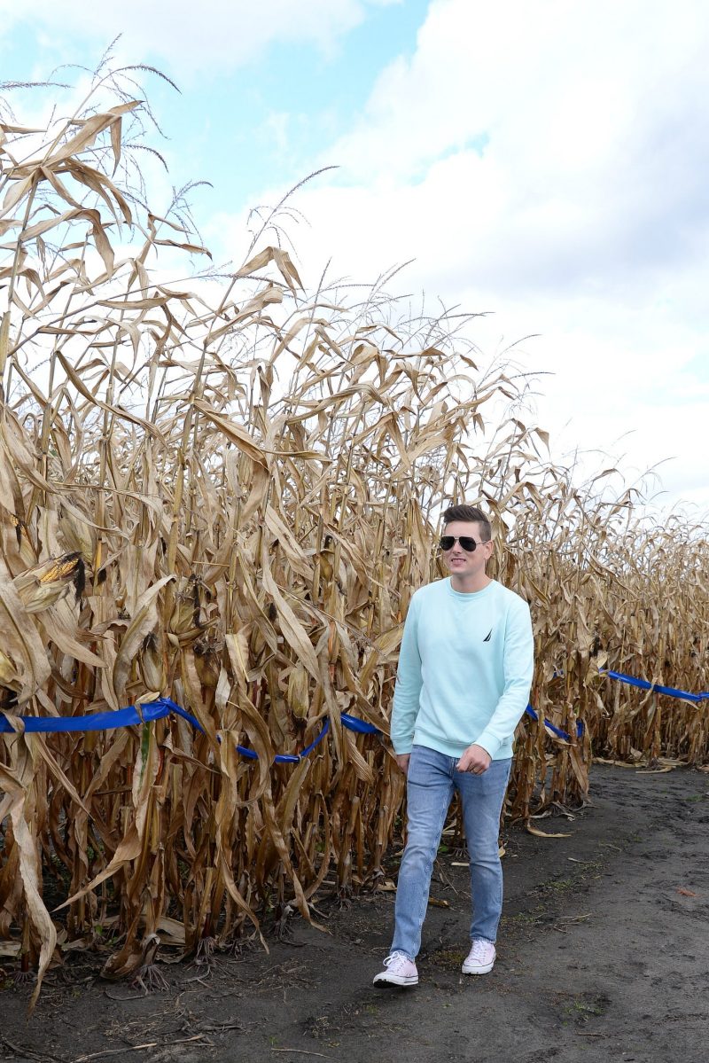 Most Instagrammable Fall Farms around London, Ontario – The Pink Millennial