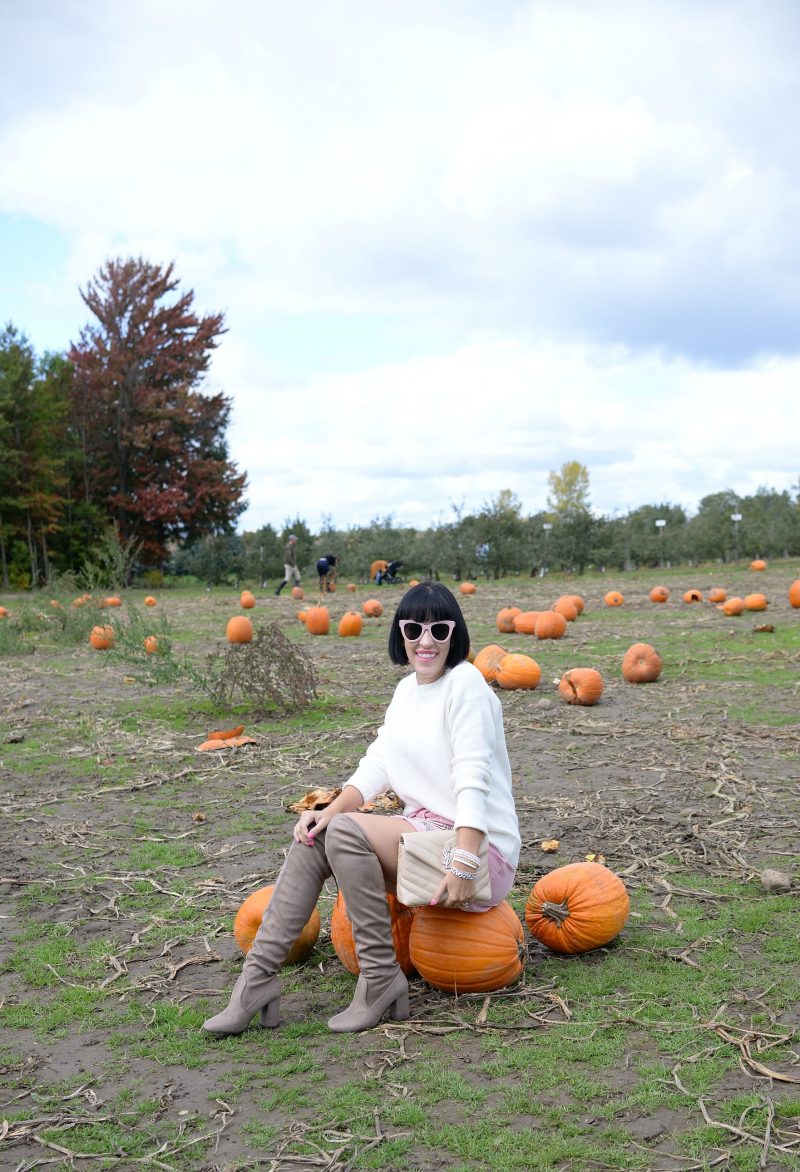 Most Instagrammable Fall Farms around London, Ontario – The Pink Millennial
